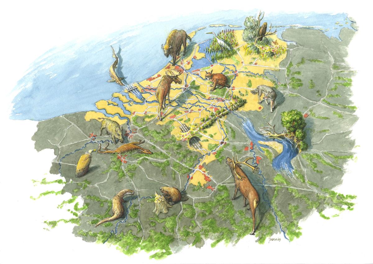 Doe 20 maart mee met World Rewilding Day | ARK Rewilding Nederland