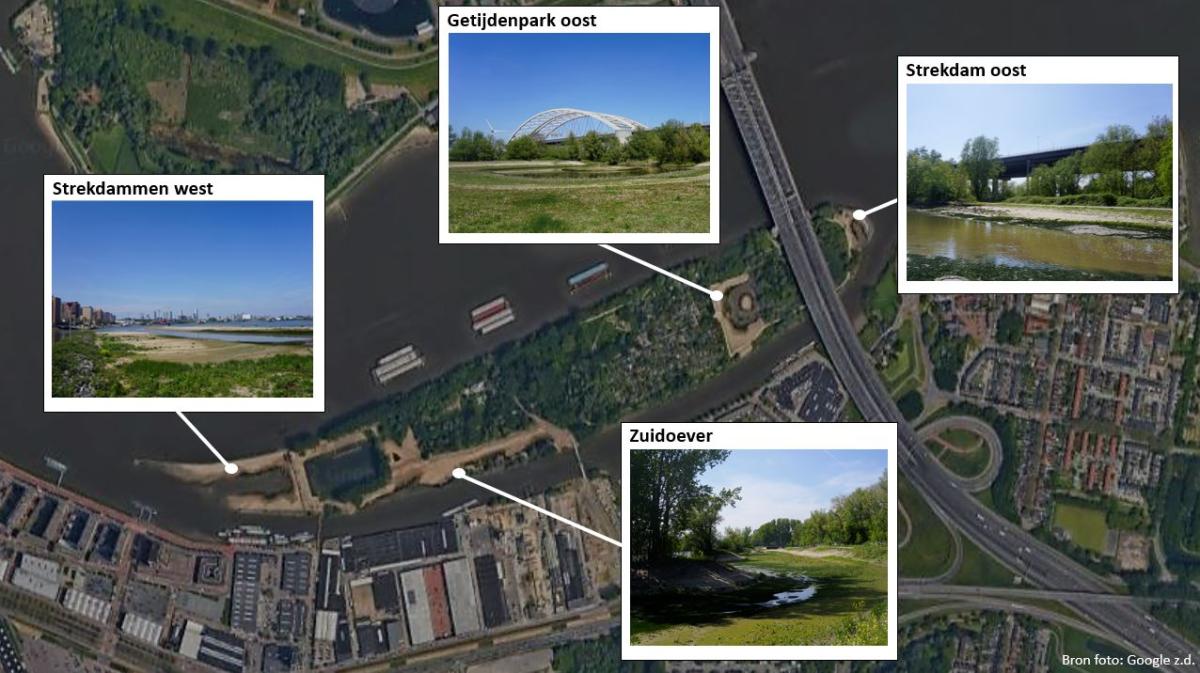 Monitoringsplan getijdennatuur Rotterdam | ARK Rewilding Nederland